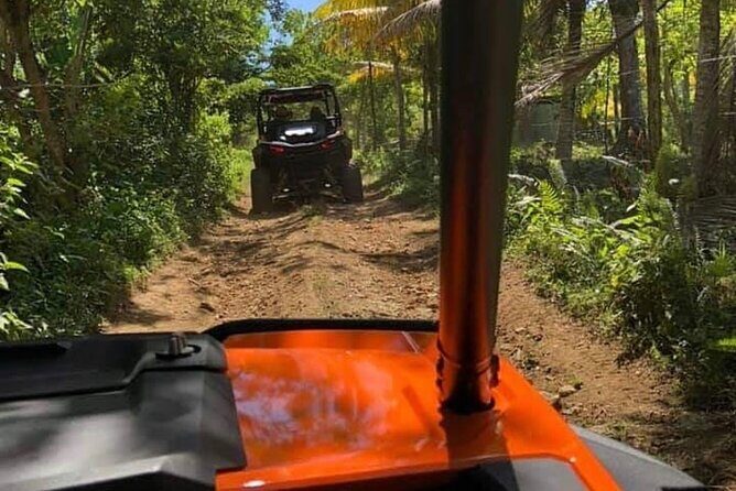 Rastafari Safari Cultural ATV Ride & Ricks Cafe Combo - The Experience: What Sets It Apart