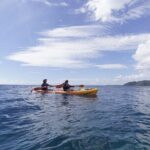 Reef and Turtle Adventure - Kayak and Snorkel Tour - What Makes This Tour Stand Out?