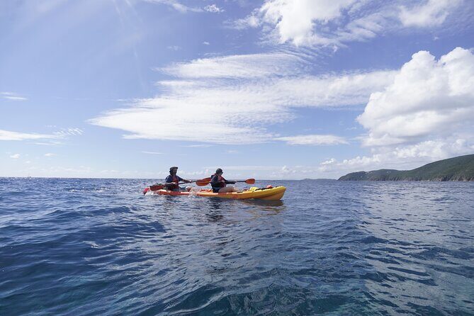 Reef and Turtle Adventure - Kayak and Snorkel Tour - What Makes This Tour Stand Out?
