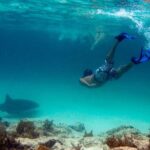 Reef Explorer Half Day Trip - Who Should Consider This Tour?