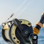 Reel Adventures: A Fin-tastic Fishing Tour - Detailed Breakdown of the Tour Experience