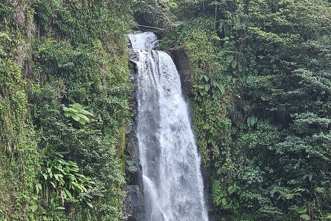 Relax in Hot Springs and swim in Titou Gorge and Trafalgar Falls - Who Will Love This Tour?