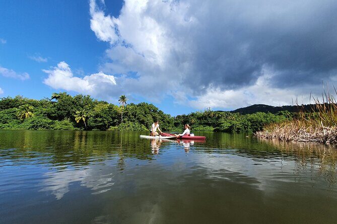 Rental Kayaking or Stand-up Paddle 2H - Final Thoughts: Is This Experience for You?