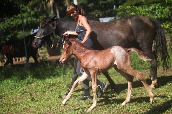 Ride Horses on the Beach - What Past Travelers Say