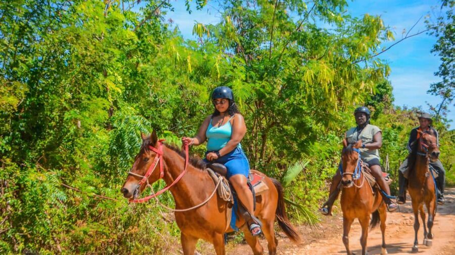 Ride into Paradise: Punta Cana Horsback Riding On the Beach. - Price, Value, and What You’re Paying For