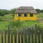 Rincon Visit with Local Guide - The Sum Up