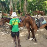 Rio Nuevo Jamaica Private Rafting Horse Ride Adventure - Bamboo Rafting: A Chill River Cruise