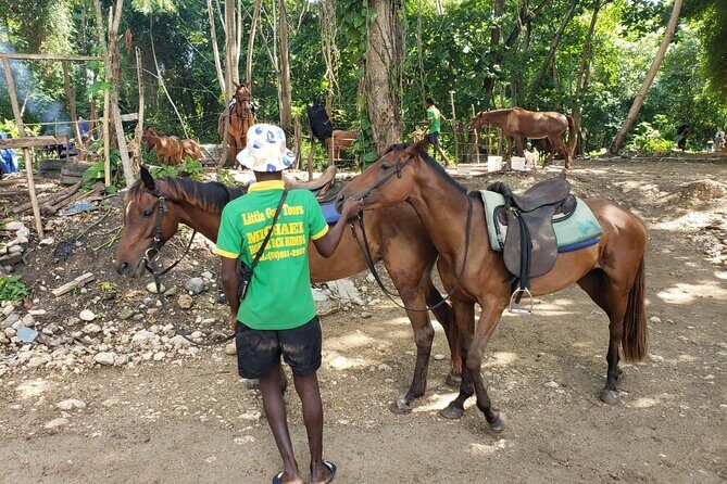 Rio Nuevo Jamaica Private Rafting Horse Ride Adventure - Bamboo Rafting: A Chill River Cruise