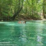 Río Sonador River Adventure: Dominican Lunch & Waters - Detailed Experience Insights