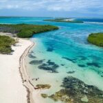 Riu Bambu - Round Trip Shuttle - Punta Cana Airport - The Value of the Service