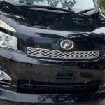 Riu Negril / Riu Palace Tropical Bay Private Airport Transfer - What to Expect on Your Ride