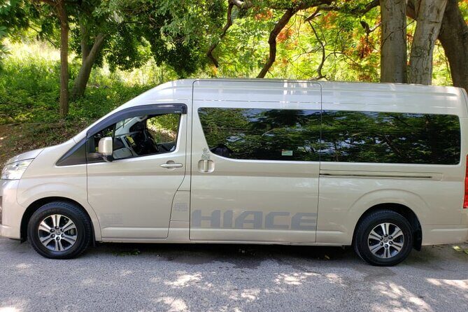 Riu Ocho Rios Jamaica Private Airport Transfer - Who Should Consider This Transfer?