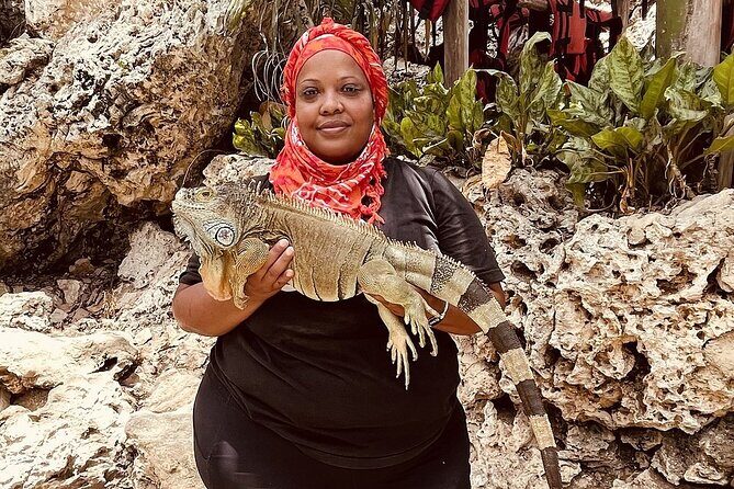 Road Off Buggy Adventure  Drive, Swim & Taste Dominican Culture - What Travelers Say: Authentic Perspectives