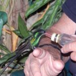 Rocklands Bird Sanctuary & City Highlights plus Shopping from Grand Palladium - Who Will Love This Tour?