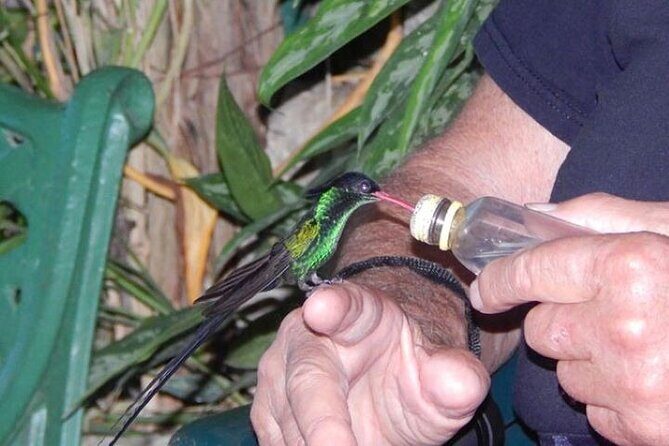 Rocklands Bird Sanctuary & City Highlights plus Shopping from Grand Palladium - Who Will Love This Tour?