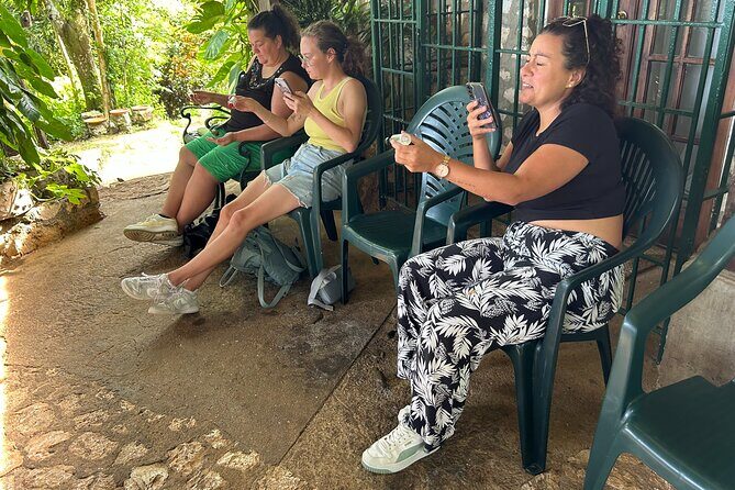 Rocklands Bird Sanctuary & St James Parish Church - Who Should Consider This Tour?