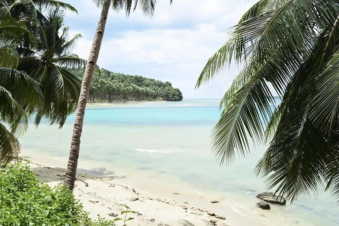 Romantic Nassau: Scenic Tour with Ocean Views & Hidden Gems - What to Expect at Each Stop