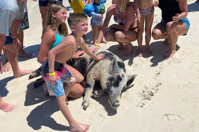 Rose Island 3 Island Luxury Private Tour(8hrs) - Third Stop: Rose Island – The Pigs and Beachside Relaxation