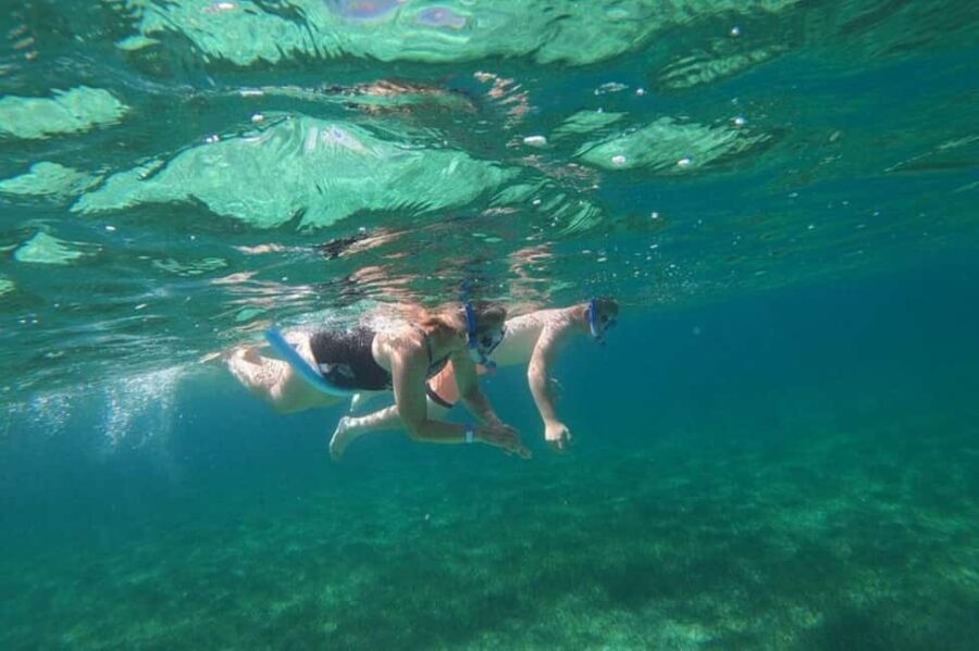 Rose Island Adventure: Turtle, Swim and Snorkel - What We Love About This Tour