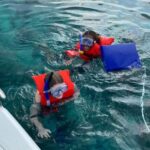 Rose Island: Pig Beach, Snorkeling, Sea Turtles, Beach - Setting the Scene: A Day Out on Rose Island