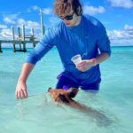 Rose Island: Snorkeling, Swimming Pigs & Unlimited Rum Punch - Why This Tour Offers Great Value