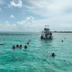 Rose Island Swimming Pigs & Beach Snorkeling Experience Nassau. - Who Should Book This Tour?