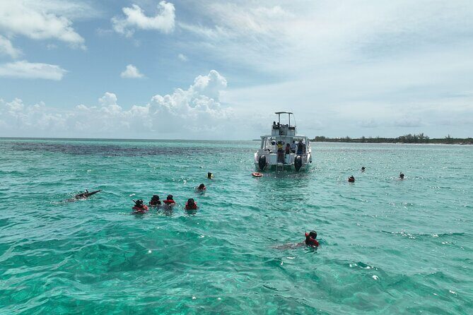 Rose Island Swimming Pigs & Beach Snorkeling Experience Nassau. - Who Should Book This Tour?