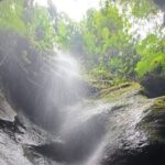 Roseau, Dominica: Rainforest Adventure sport,Waterfall swim - FAQs