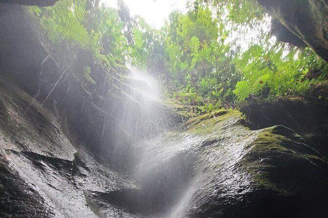 Roseau, Dominica: Rainforest Adventure sport,Waterfall swim - FAQs