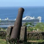 Roseau Dominica Safari Scenic: Rainforest, Falls & Karaoke - Transportation, Group Size, and Price: What Travelers Should Know