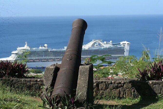 Roseau Dominica Safari Scenic: Rainforest, Falls & Karaoke - Transportation, Group Size, and Price: What Travelers Should Know