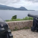 Roseau: Indian River and Fort Shirley Tour with Lunch - Who Should Consider This Tour?