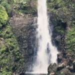 Roseau: Middleham Falls Hike & Titou Gorge Half-Day Trip - Real Experiences from Travelers