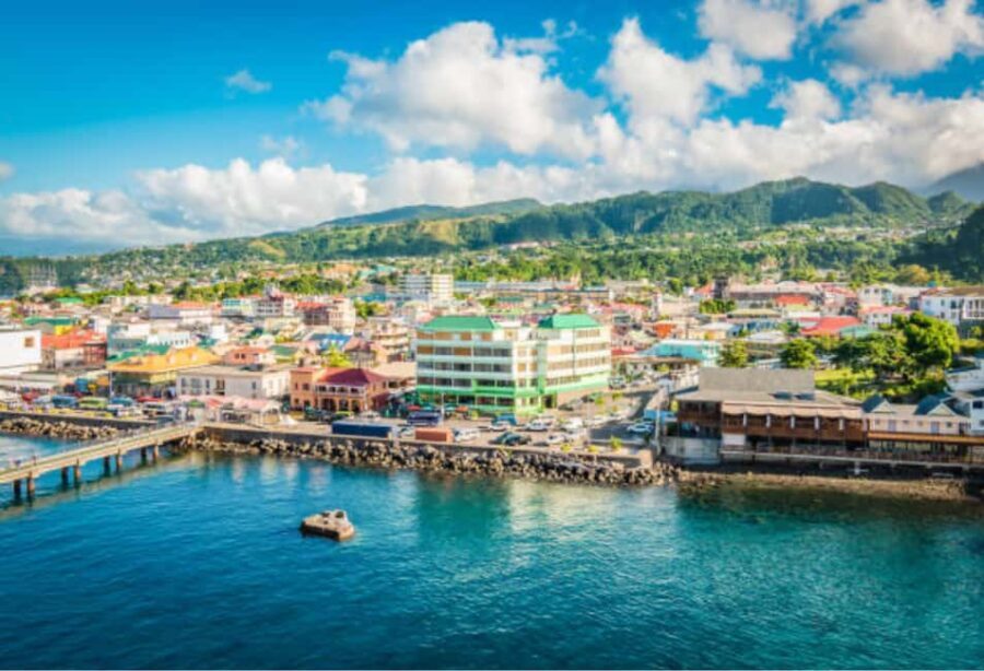 Roseau: Private Food Tasting Tour - Who Will Love This Tour?