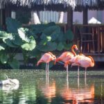 Roseau: Secret Waterfall Canyoning Adventure with Pickup - The Heart of the Adventure: Waterfalls, Pools, and Gorges