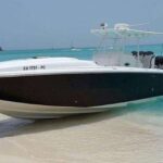 Roseau: Snorkeling and Beach Day with Lunch - Who Should Consider This Tour?