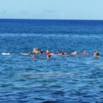 Roseau: Titou Gorge, Hot Spring, Falls & Champagne Reef Tour - Transportation, Timing, and Group Size