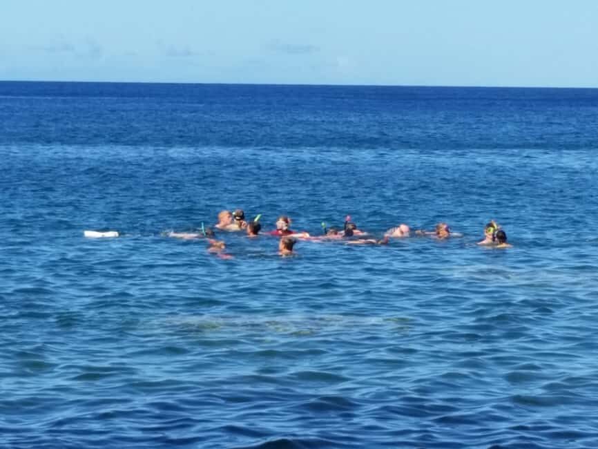 Roseau: Titou Gorge, Hot Spring, Falls & Champagne Reef Tour - Transportation, Timing, and Group Size