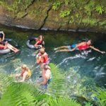 Roseau Valley to Champagne Beach Tour Experience - Pricing and Value