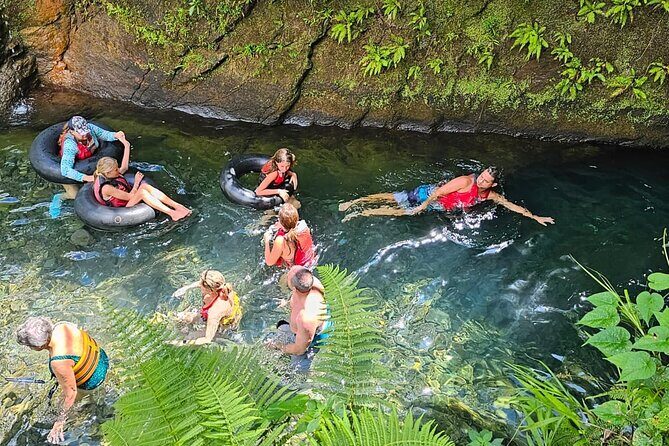 Roseau Valley to Champagne Beach Tour Experience - Pricing and Value