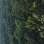 Round trip airport hotel transfer MBJ-Negril - The Value and Price: Is It Worth It?