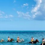 Round Trip Private Transfer from Montego Bay Airport to the City - The Sum Up