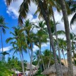 Round Trip Shuttle - Punta Cana Airport to La Romana Hotels 11-20 Passengers - Who Will Benefit Most?