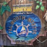 Royal Luminous Lagoon Tour - Final Thoughts: Who Will Love This Tour?