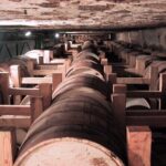 Rum Production Private Tour in Martinique - Who Will Love This Tour?