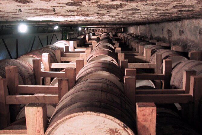 Rum Production Private Tour in Martinique - Who Will Love This Tour?