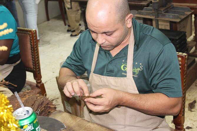 Rum Reggae and Rhythms Tour: Dancing and Cocktails - Practical Tips for Travelers