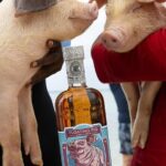 Rumbo Tour - The Adventure Begins: What to Expect on the Rumbo Tour