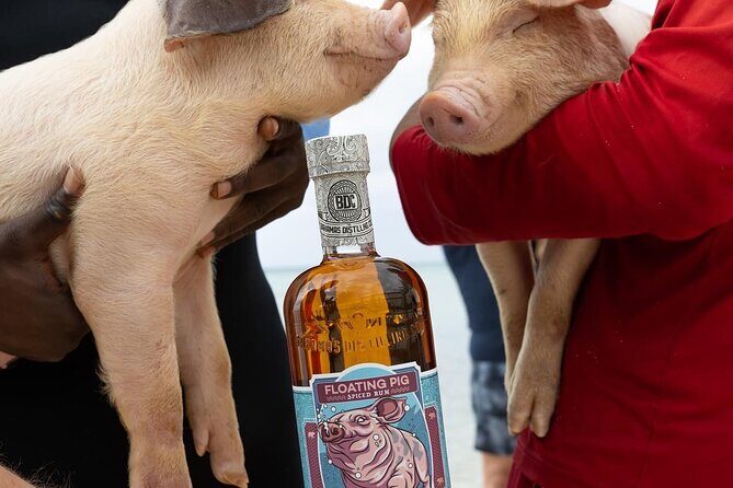 Rumbo Tour - The Adventure Begins: What to Expect on the Rumbo Tour