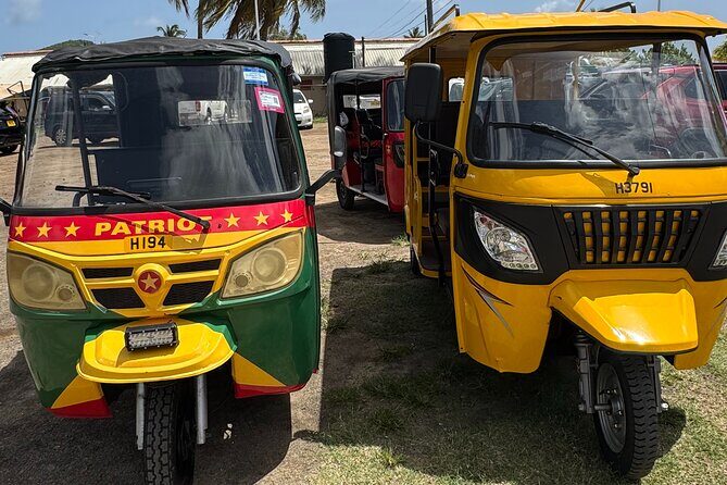 Ryde Tuk Tuk Eco and History Tour in St David Grenada - Practical Tips for Travelers